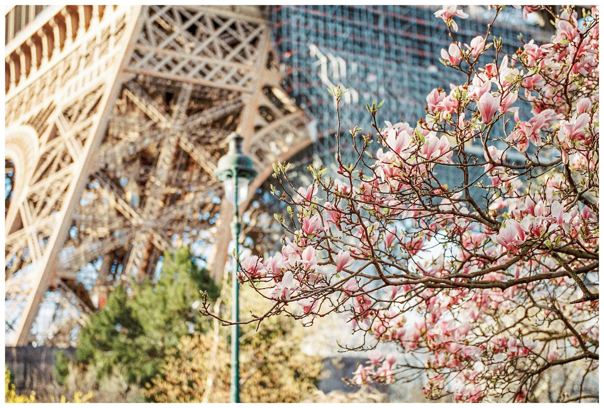 Spring in Paris - Francophile Travelogue