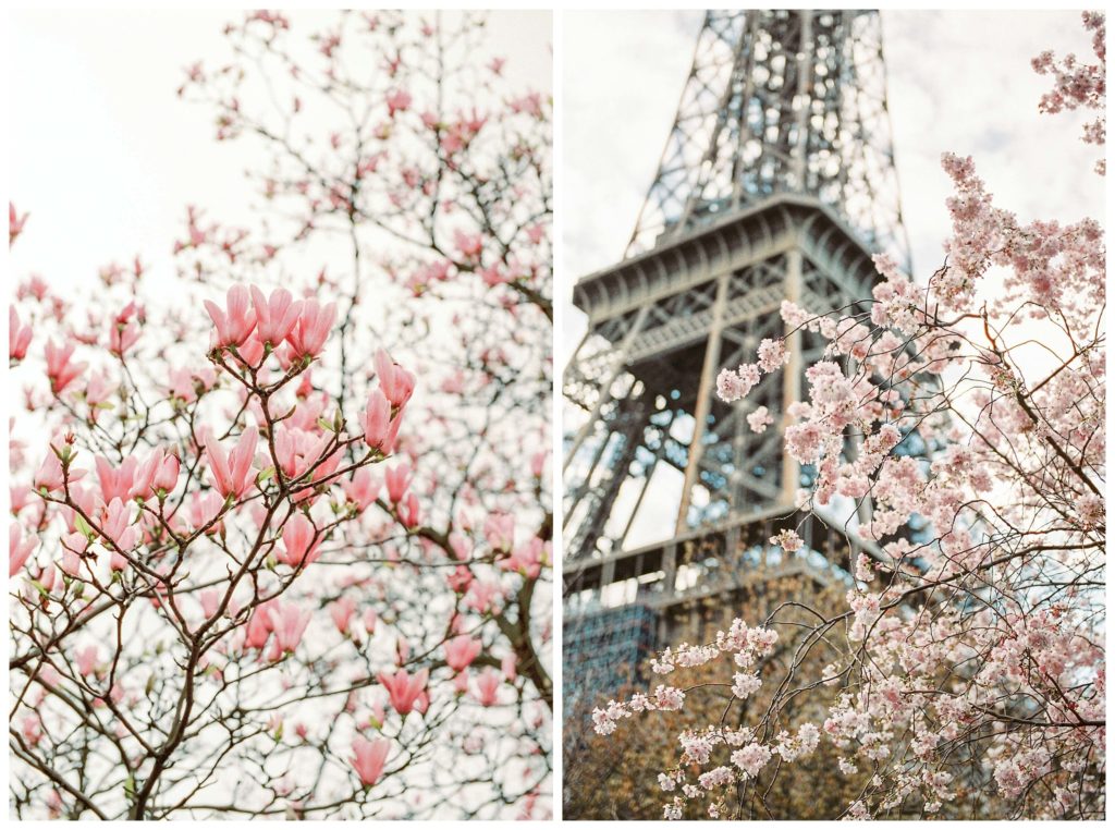 Spring in Paris - Francophile Travelogue