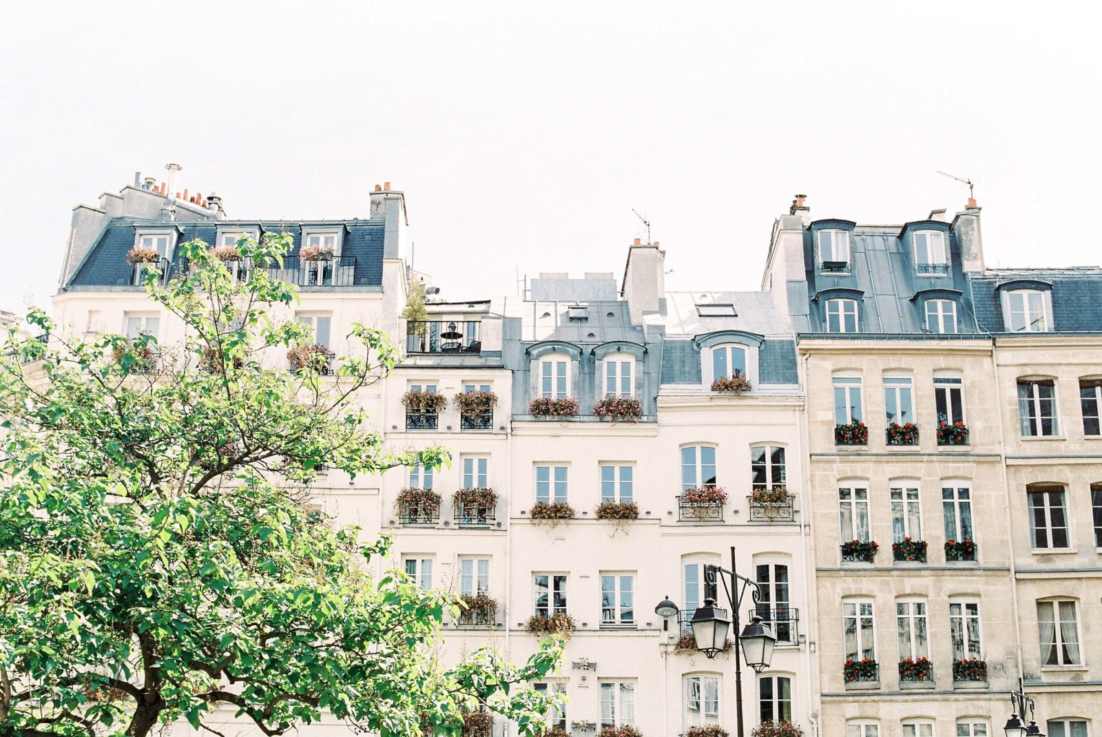 6th Arrondissement of Paris: A Guide - Francophile Travelogue